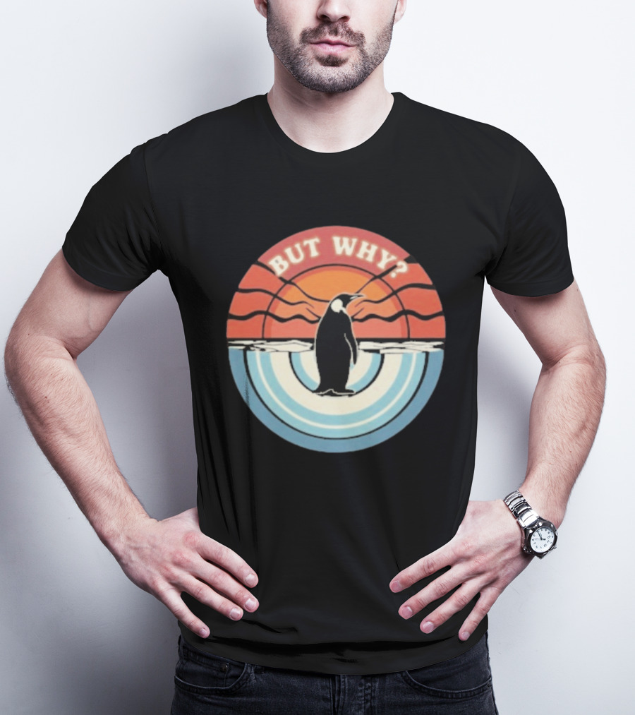 But Why Penguin Vintage Sunset Retro Ocean Waves T-Shirt