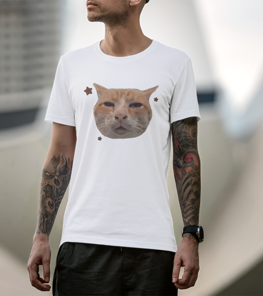 Huh Stoned Cat Meme Funny Feline Face Stars Comedy T-Shirt