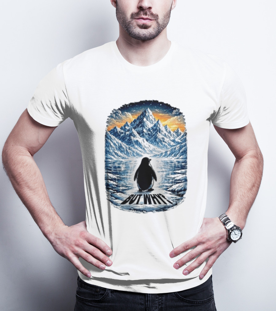 Viral Nihilist Penguin But Why Mountain Reflection T-Shirt