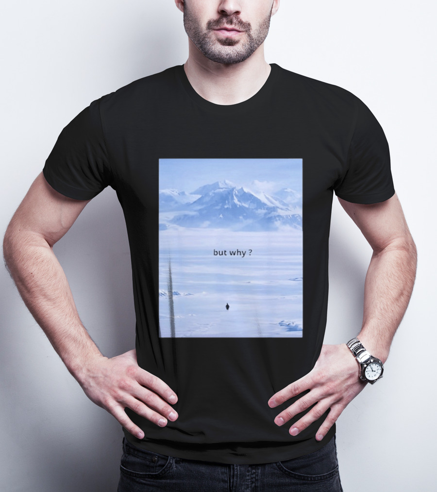 Penguin But Why Meme Snowy Mountains Motivational Scene T-Shirt