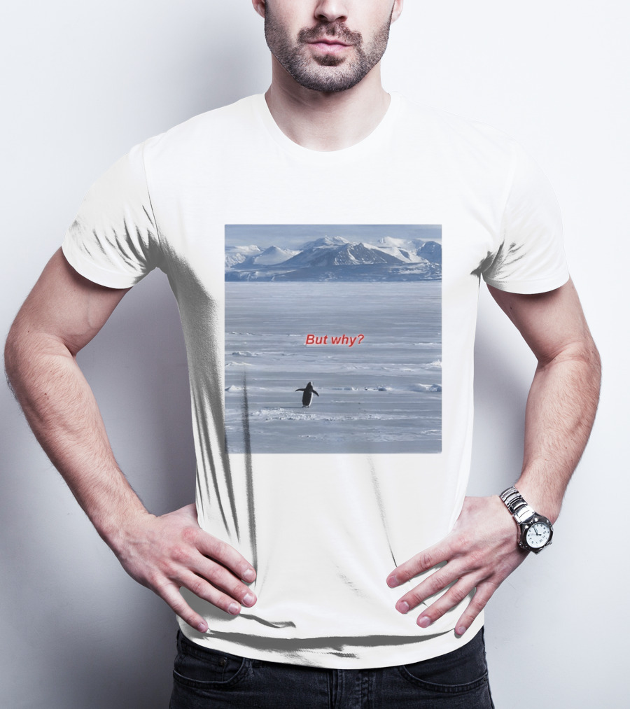But Why Penguin Nihilist Scenic Antarctic Mountains T-Shirt