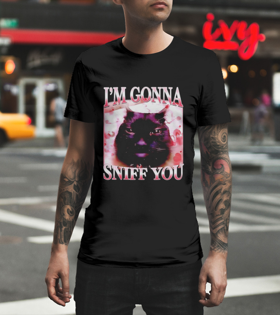 I'm Gonna Sniff You Cat Meme Valentine Aesthetic T-Shirt