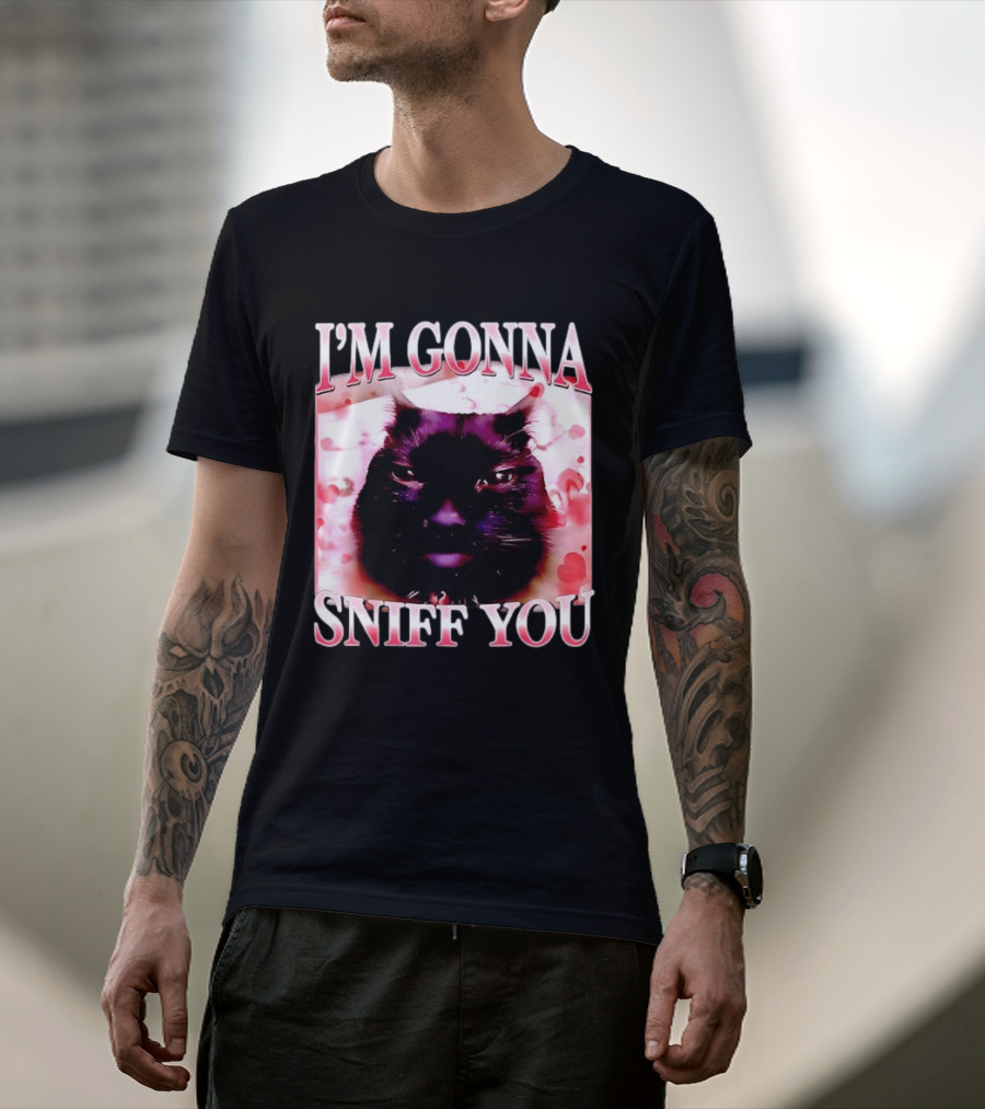 I'm Gonna Sniff You Cat Meme Valentine Aesthetic T-Shirt