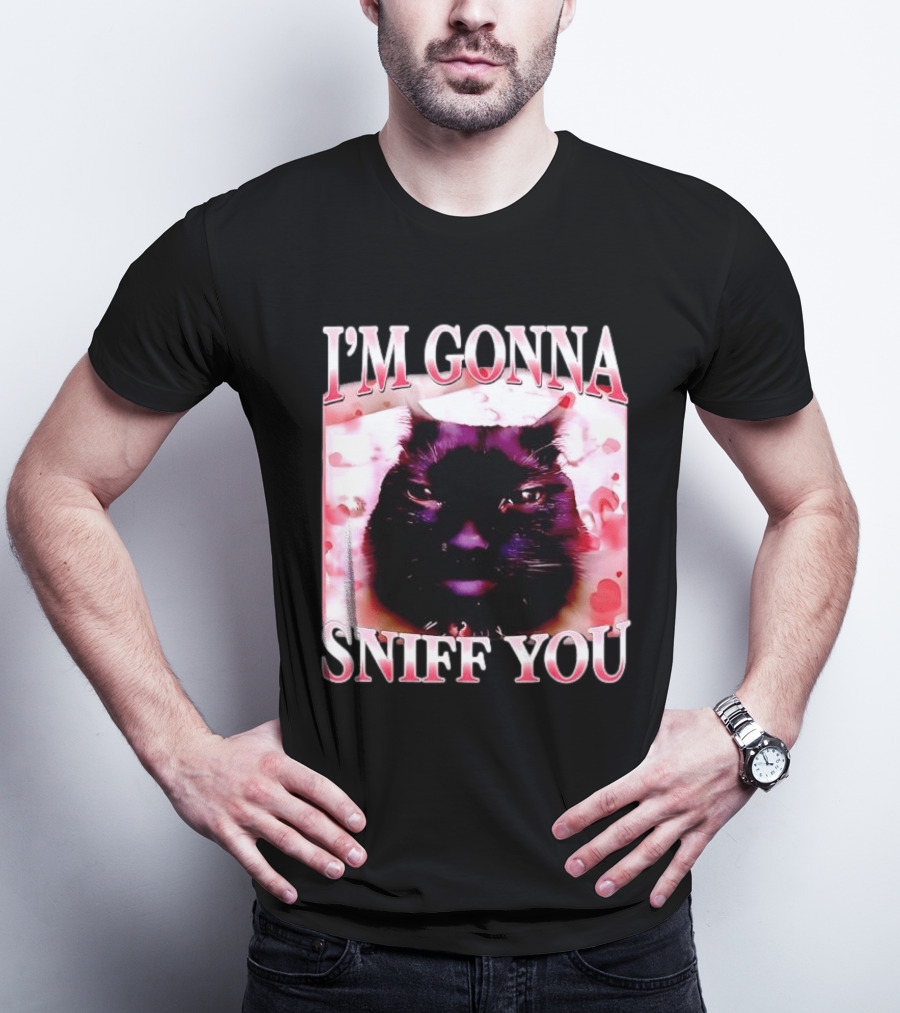 I'm Gonna Sniff You Cat Meme Valentine Aesthetic T-Shirt