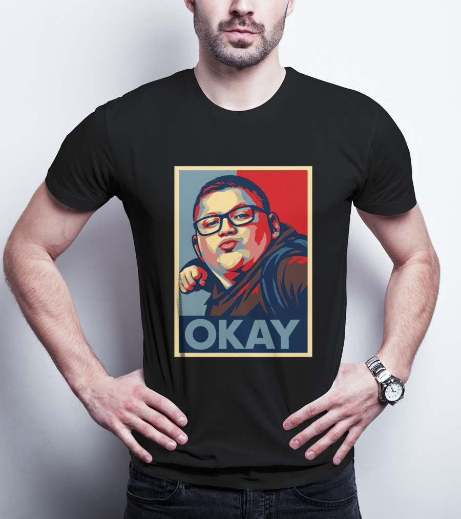 Okay Punch Kid Meme T-Shirt