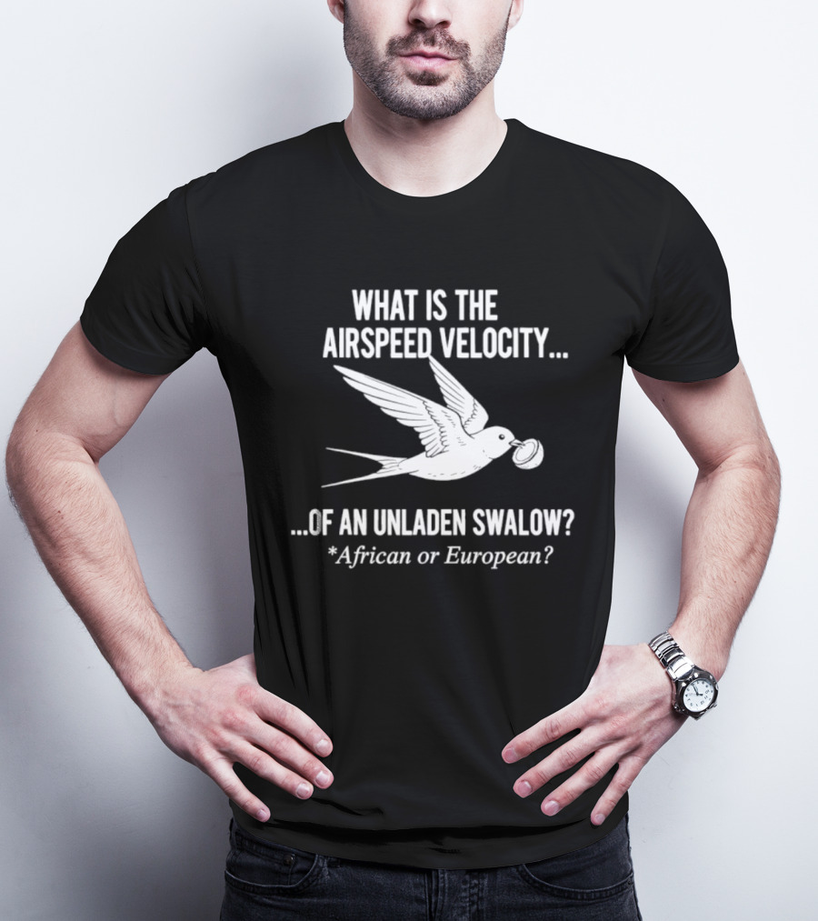 What Is The Airspeed Velocity Of An Unladen Swallow African Or European T-Shirt