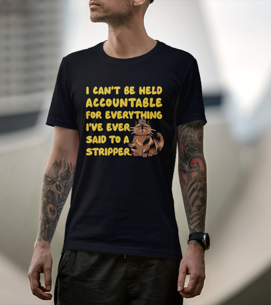 I Can't Be Held Accountable Cat Humor And Stripper T-Shirt