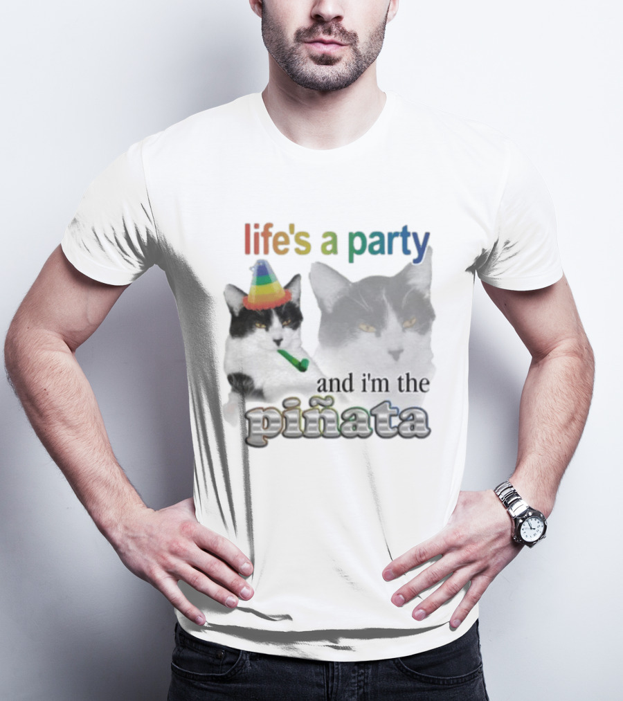Life's A Party Cat I'm The Piñata Party Hat Humor T-Shirt