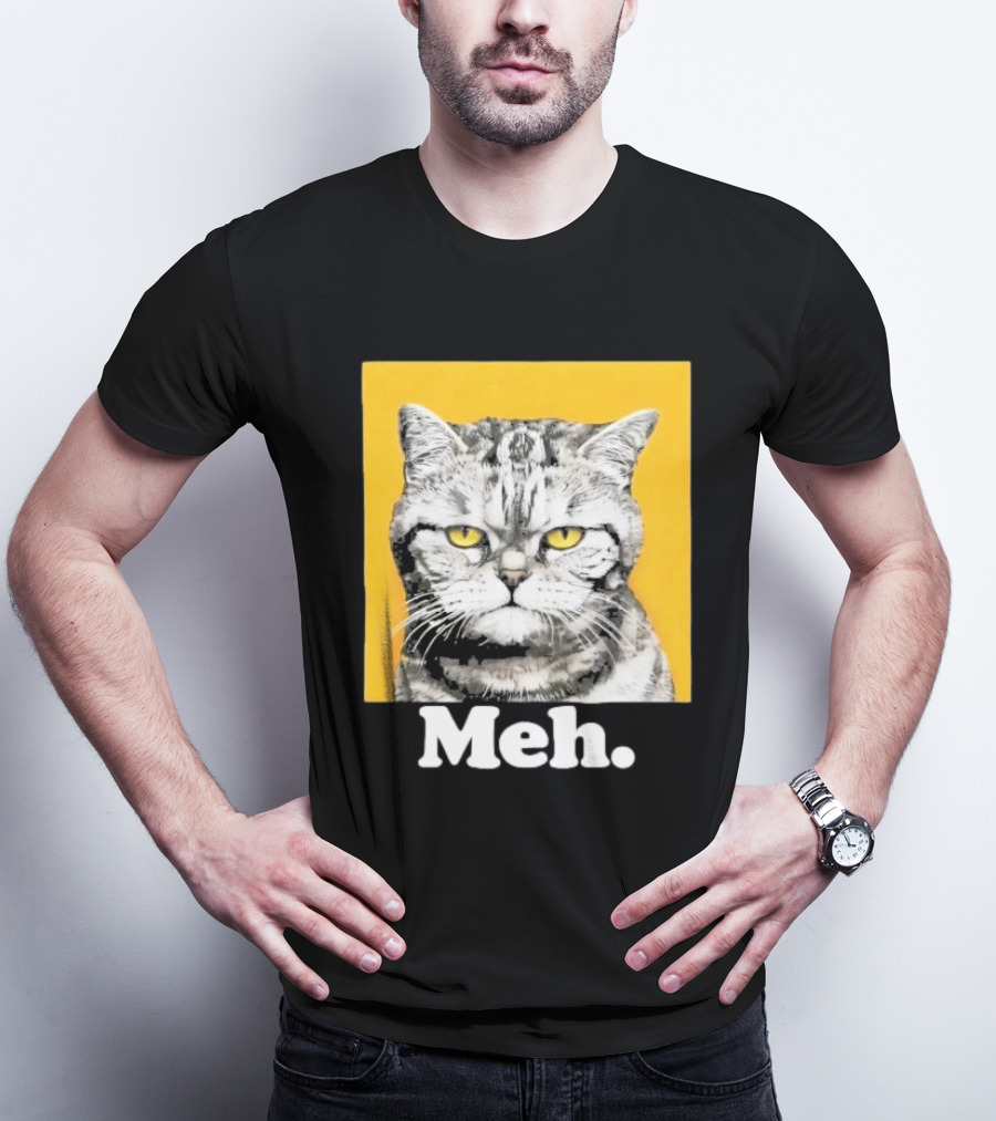 90 Day The Single Life Meh Cat T-Shirt