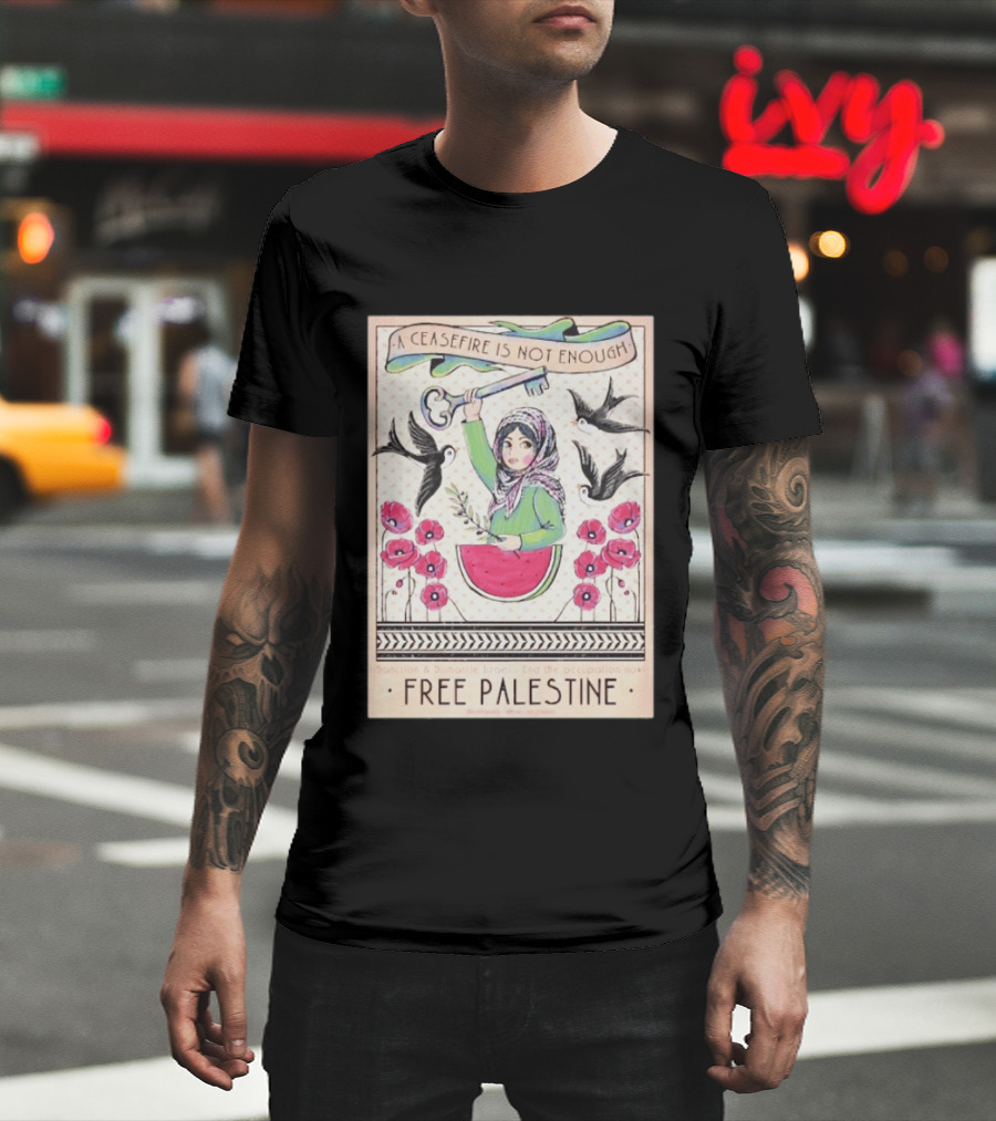 A Ceasefire Is Not Enough Free Palestine Sanction And Dismantle Israel End The Occupation Now T-Shirt