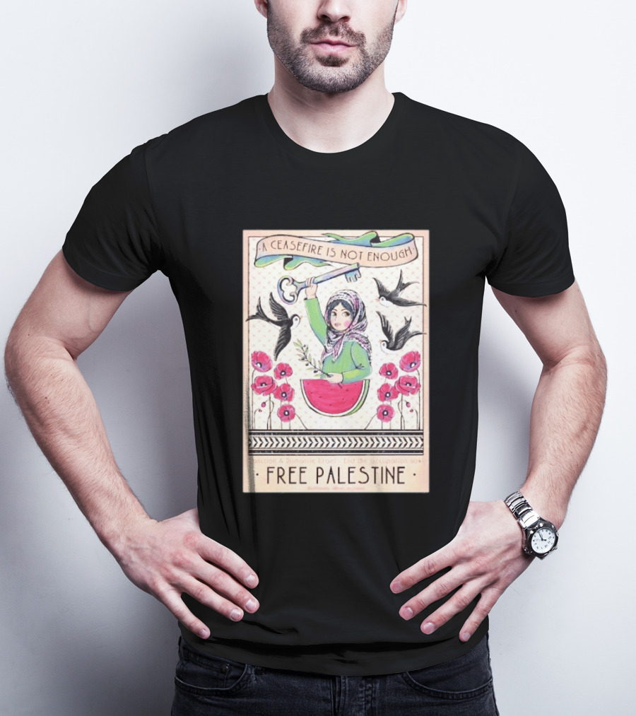 A Ceasefire Is Not Enough Free Palestine Sanction And Dismantle Israel End The Occupation Now T-Shirt