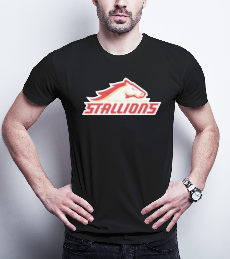 Mintzy Birmingham Stallions Team T-Shirt