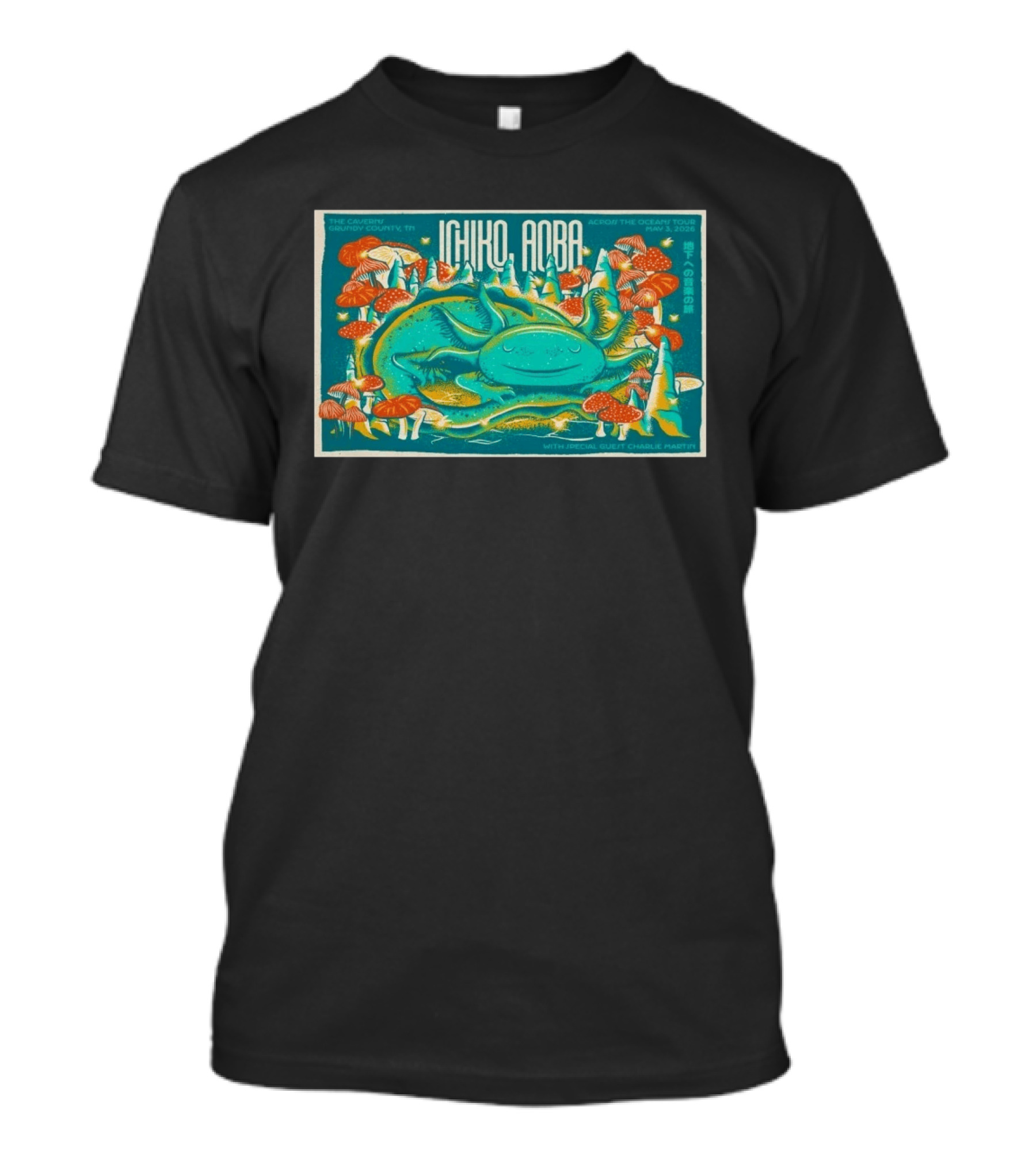 Ichiko Aoba The Caverns Grundy County TN Across The Ocean Tour May 3 2026 With Special Guest Charlie Martin T-Shirt