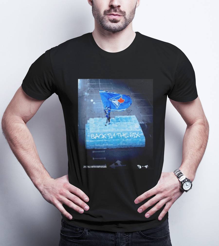Toronto Blue Jays Back In The 6ix Ice Flag And Blocks T-Shirt