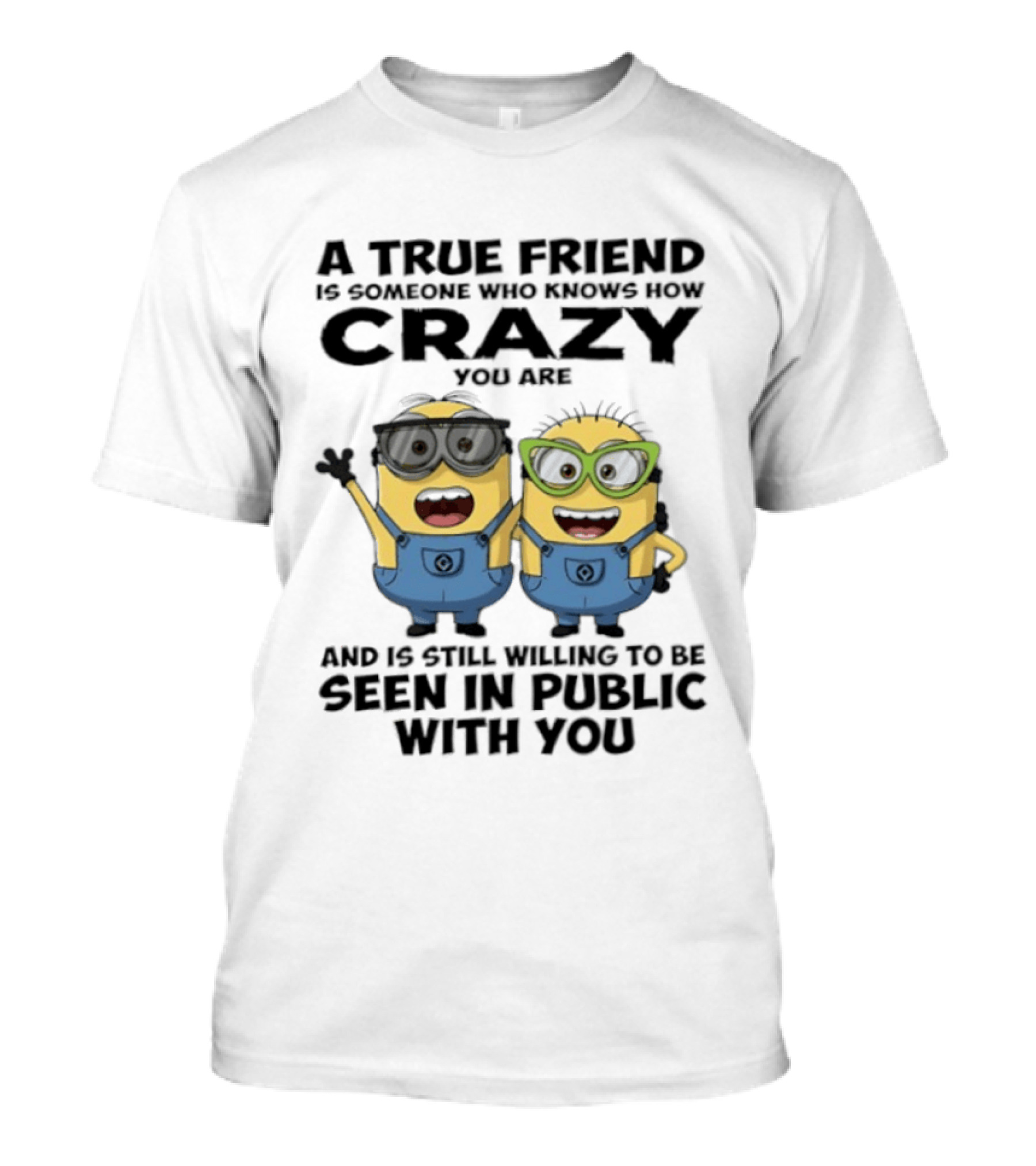 Minions A True Friend Crazy You Are Seen In Public T-Shirt