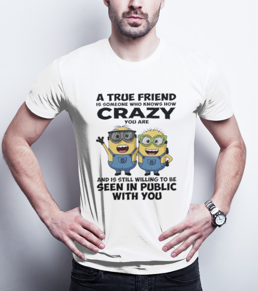 Minions A True Friend Crazy You Are Seen In Public T-Shirt