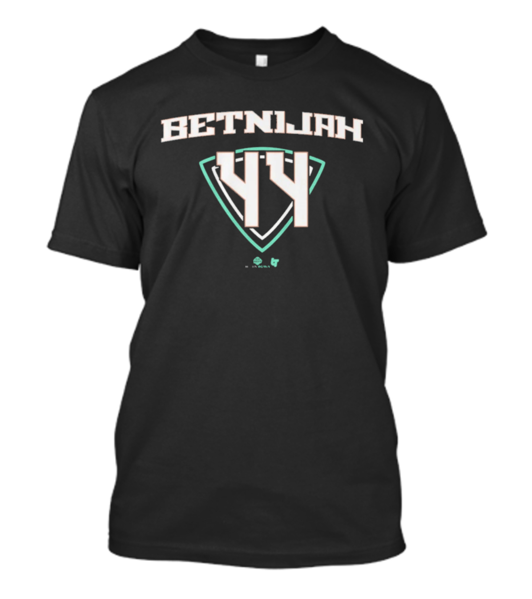 Betnijah Laney 44 Jersey Hamilton NY Basketball Fan T-Shirt