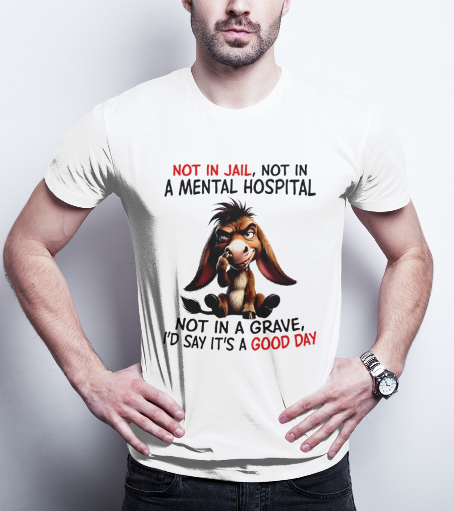 Donkey Not In Jail Not In A Mental Hospital Not In A Grave I'd Say It's A Good Day T-Shirt