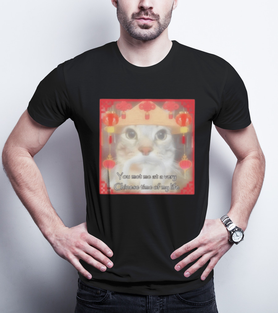 You Met Me At A Very Chinese Time Of My Life Cat Lanterns Hat T-Shirt