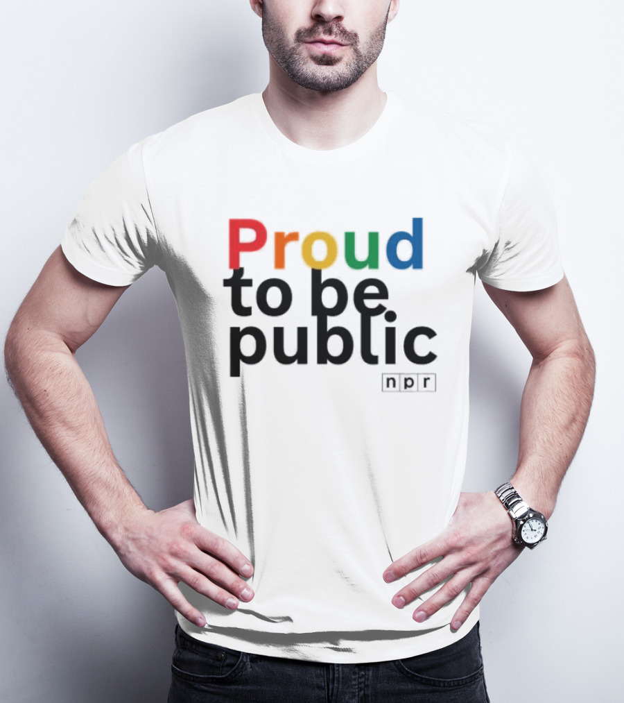 Proud To Be Public Colorful Pride T-Shirt