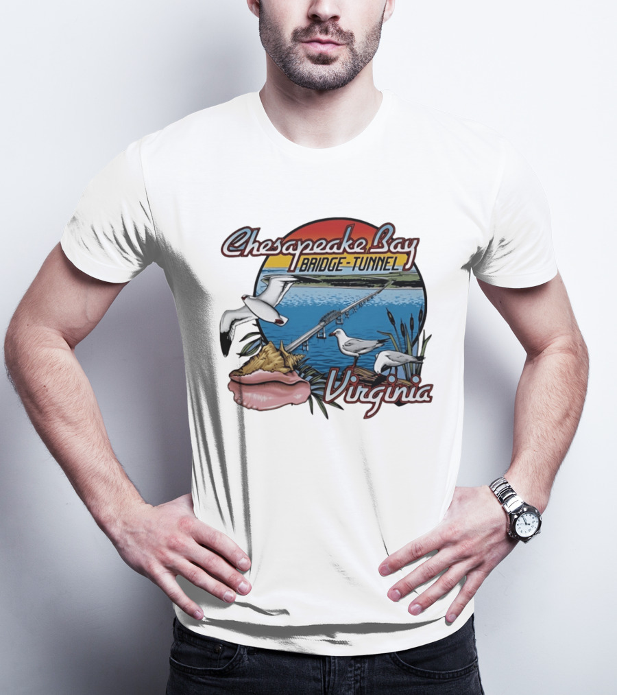 Chesapeake Bay Bridge Tunnel Virginia Seagulls Sunset Scene T-Shirt