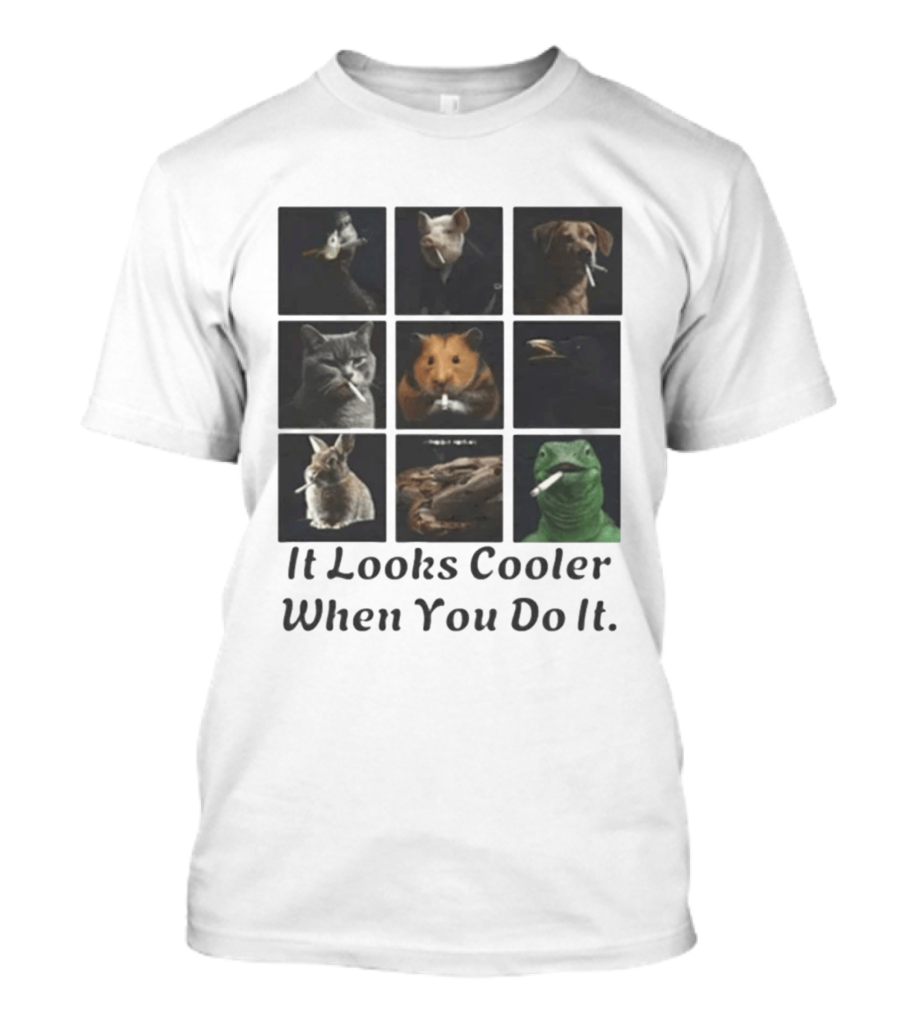 Animals Smoking It Looks Cooler When You Do It Cats Dogs Rodents Reptiles Smoking T-Shirt