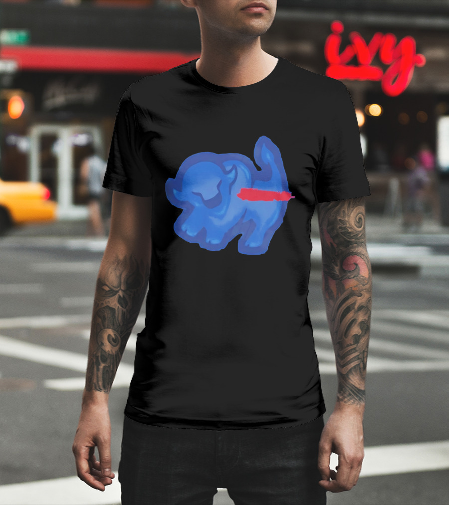 Bison King Buffalo Bills 2026 Football Team Spirit T-Shirt