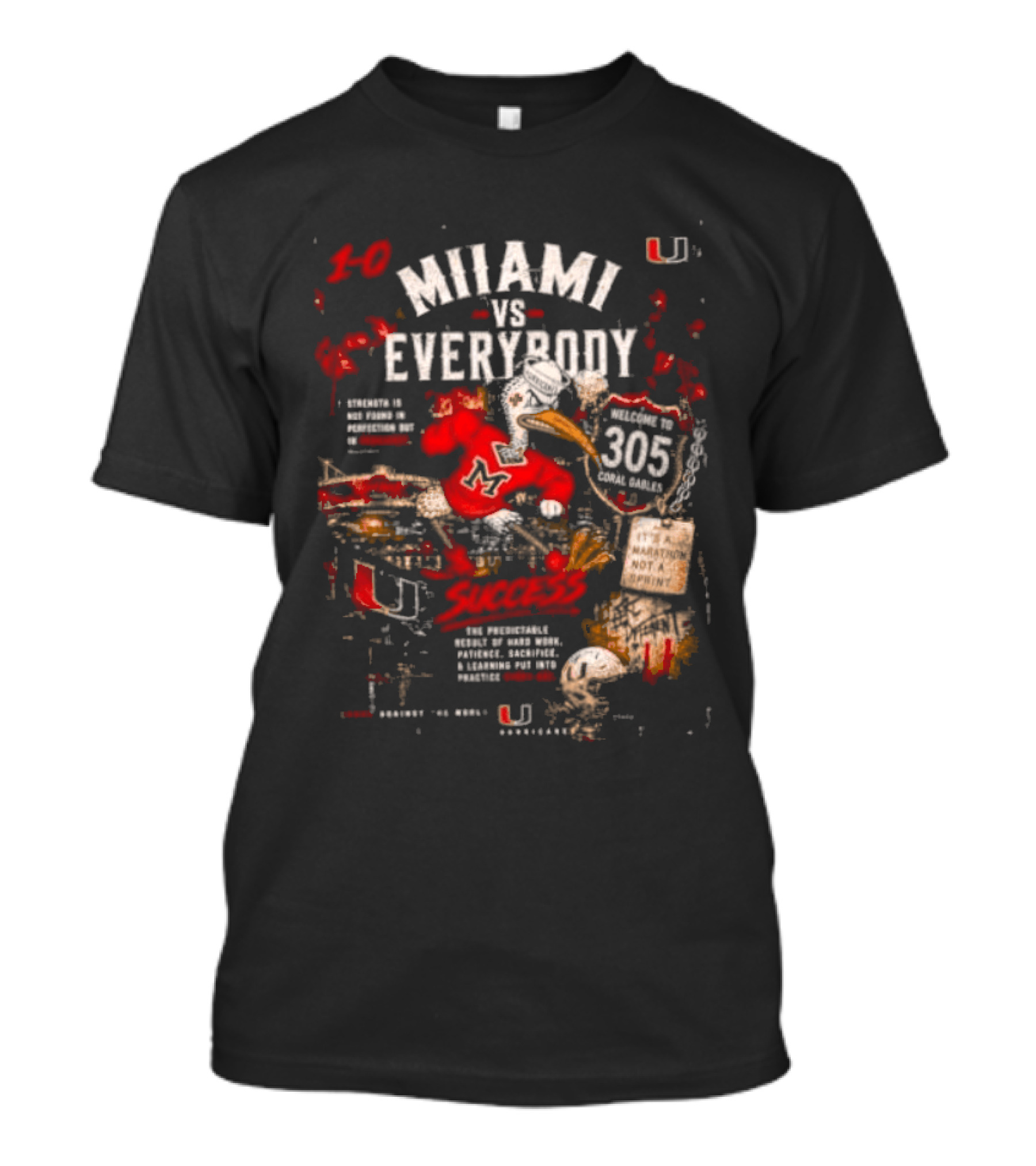 Miami Hurricanes Vs Everybody Welcome To 305 Success T-Shirt