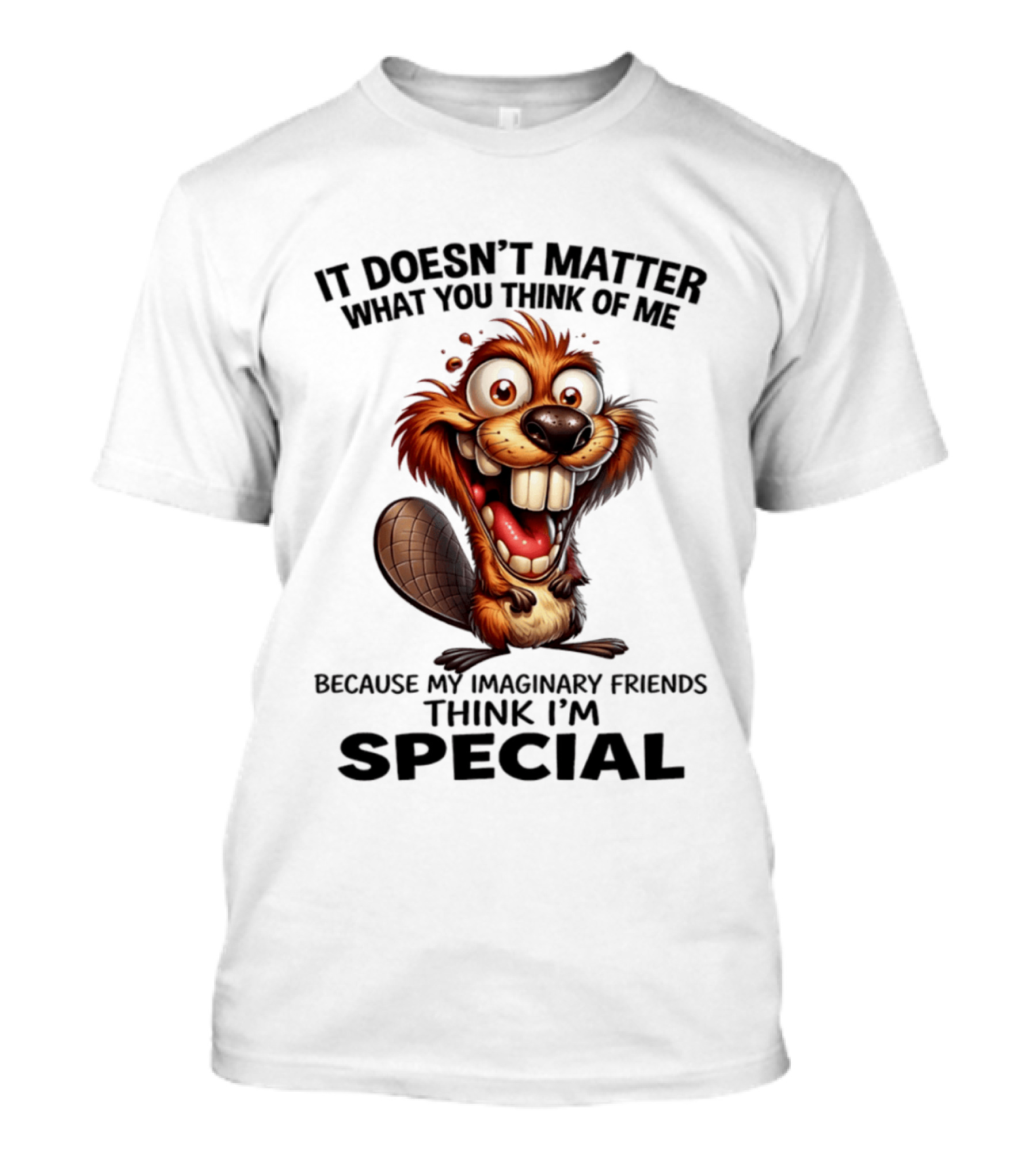 It Doesn't Matter What You Think Of Me Because My Imaginary Friends Think I'm Special Cartoon T-Shirt