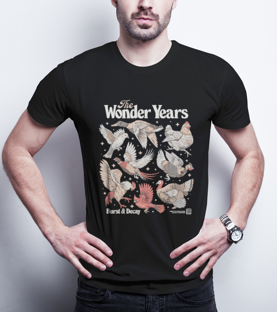 The Wonder Years Burst Decay Birds Vintage Aesthetic T-Shirt