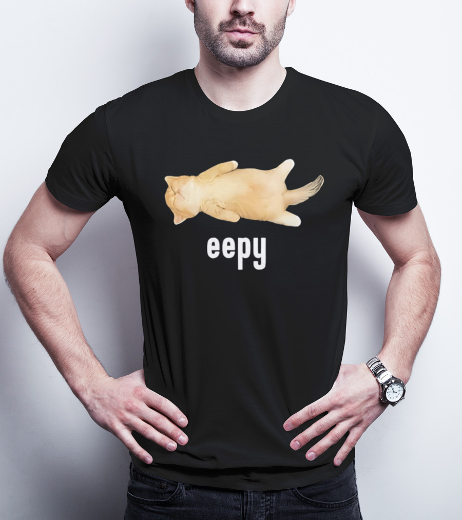 Eepy Sleeping Orange Kitten Cat Meme T-Shirt