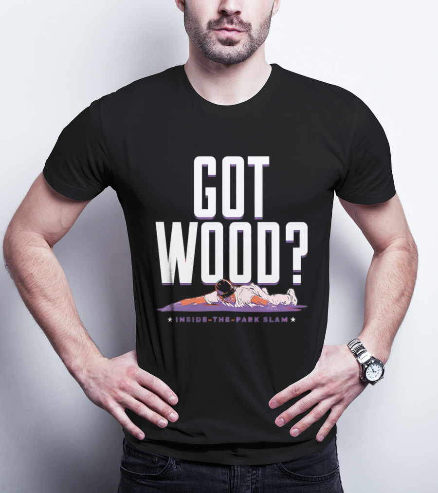 Washington Nationals Baseball Got Wood Inside The Park Slam T-Shirt