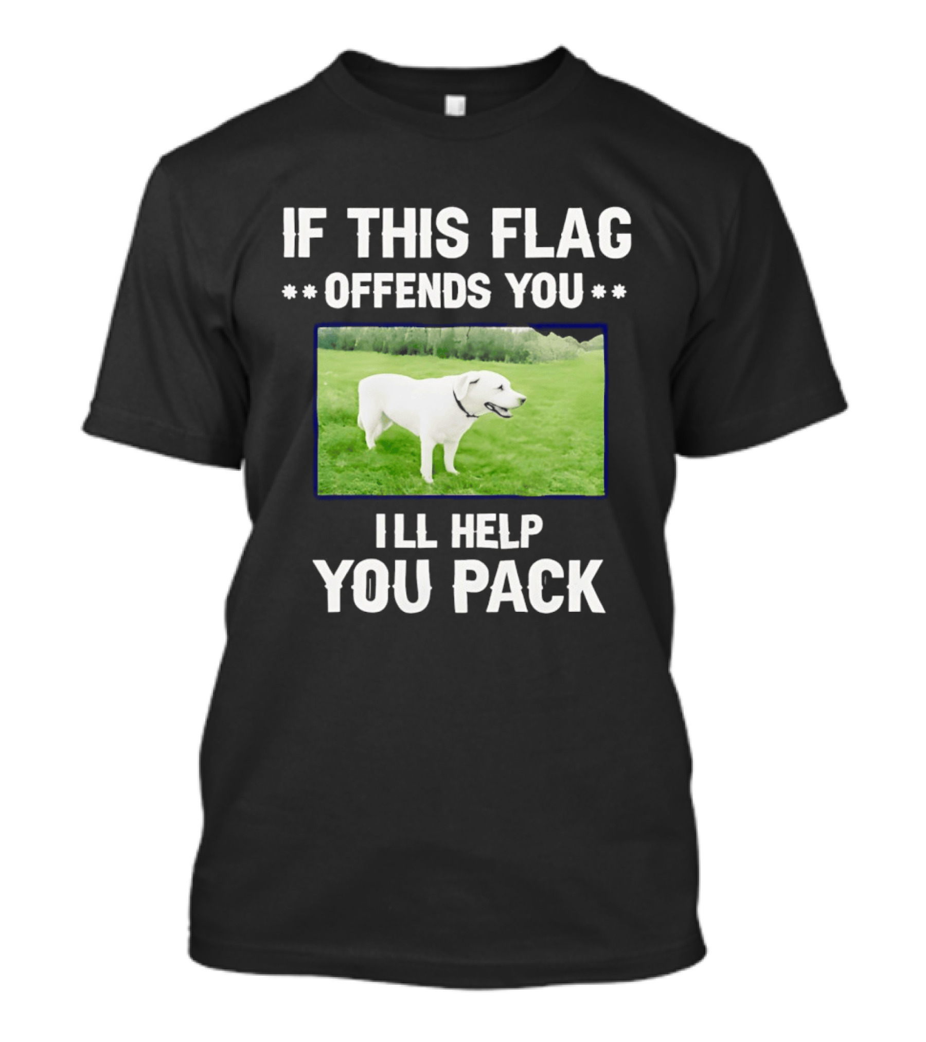 If This Flag Offends You I'll Help You Pack Dog Image In Field T-Shirt