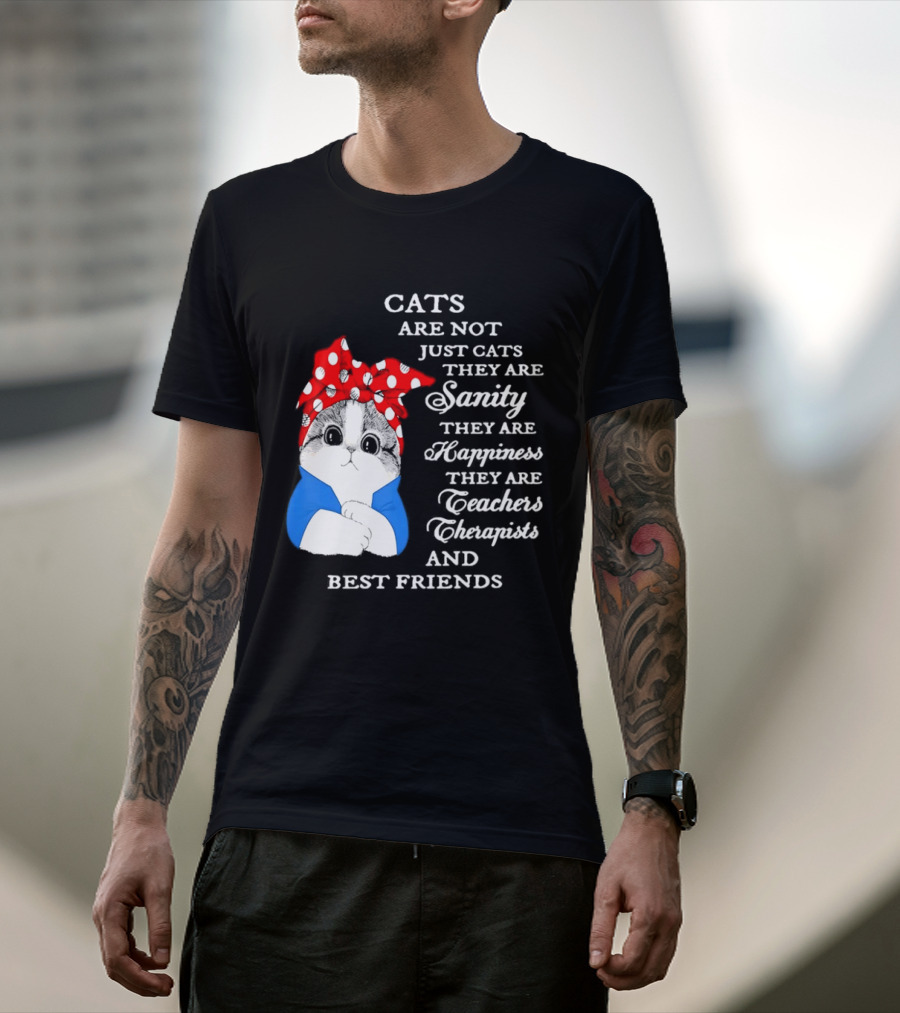 Cats Are Not Just Cats They Are Sanity Happiness Teachers Therapists Best Friends T-Shirt