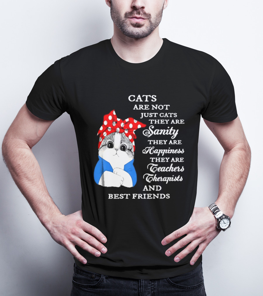 Cats Are Not Just Cats They Are Sanity Happiness Teachers Therapists Best Friends T-Shirt
