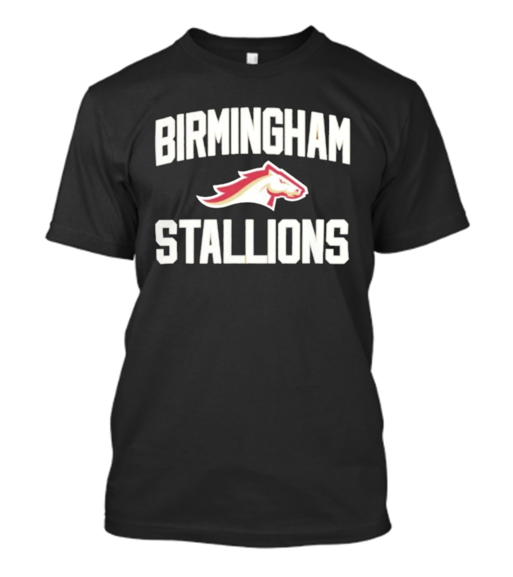 Birmingham Stallions Team T-Shirt