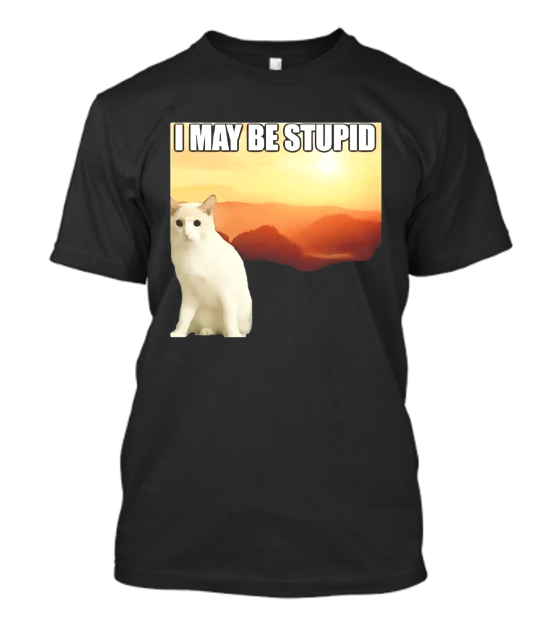 I May Be Stupid Cat With Sunrise T-Shirt