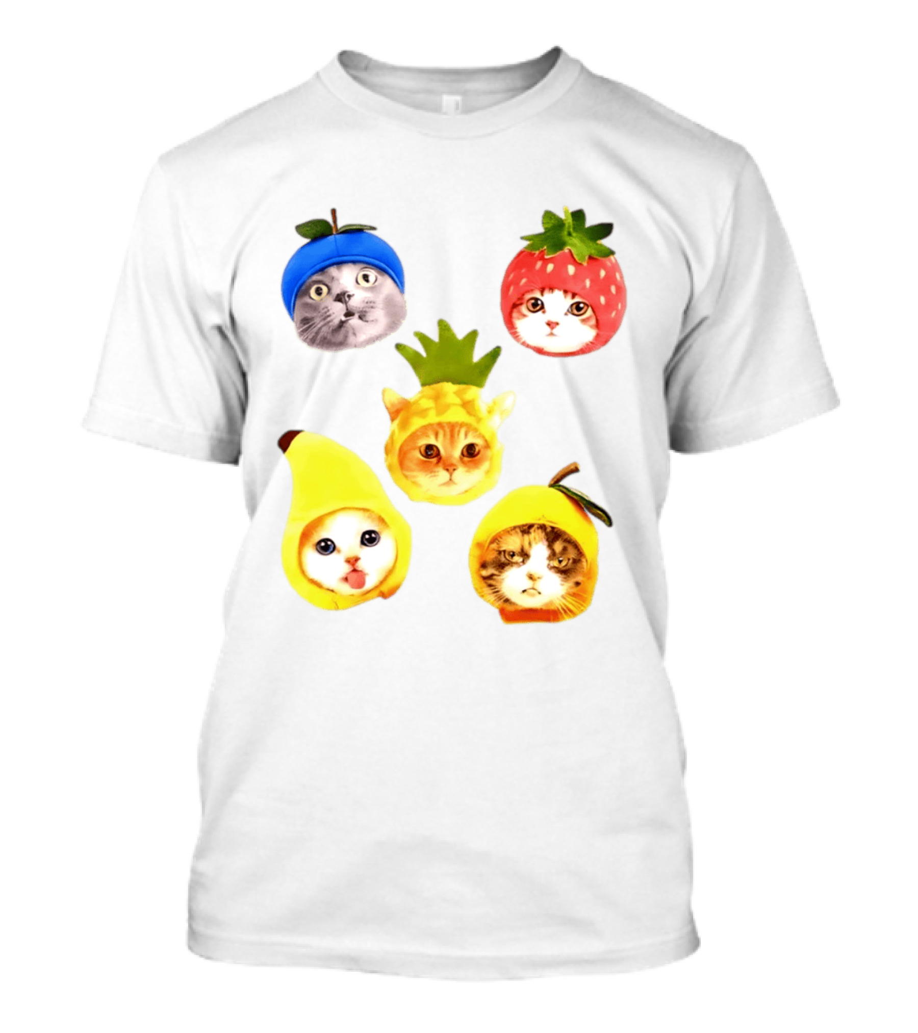 Whimsical Cats In Fruit Hats Blueberry Strawberry Pineapple Banana Apple T-Shirt