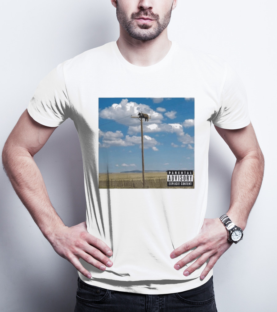Bear On Top Of The Light Pole Parental Advisory Explicit Content Clouds Sky T-Shirt