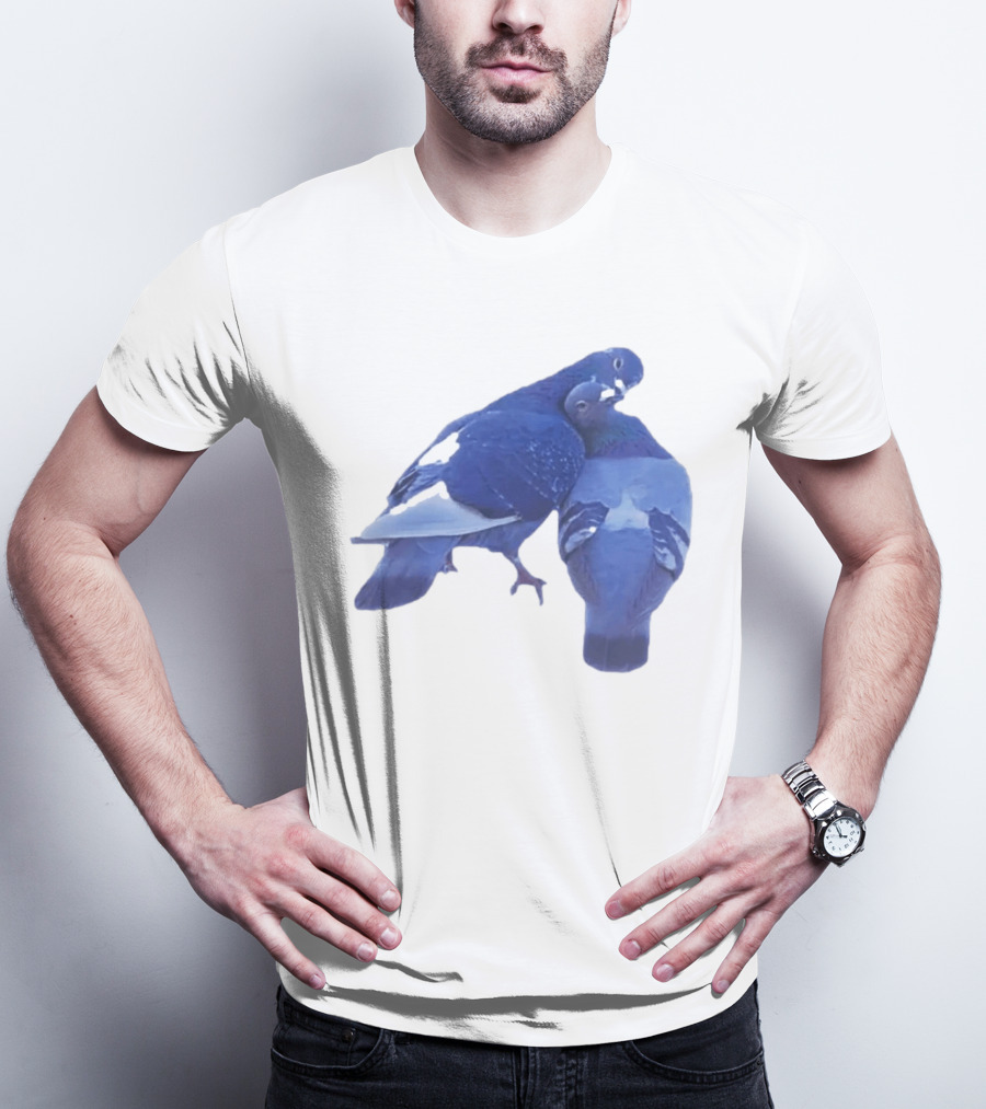 Love Doves Sports Banger Blue Pigeons Embrace T-Shirt