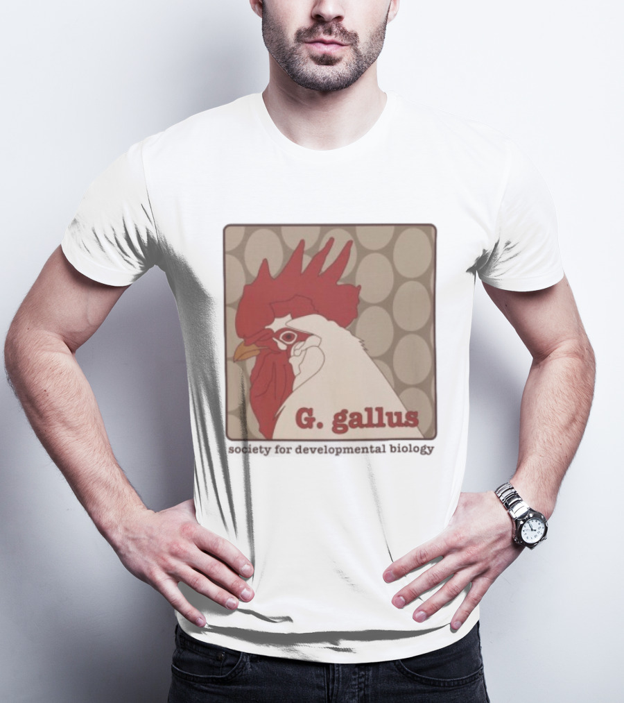 G Gallus Society For Developmental Biology Chicken Rooster Oval T-Shirt