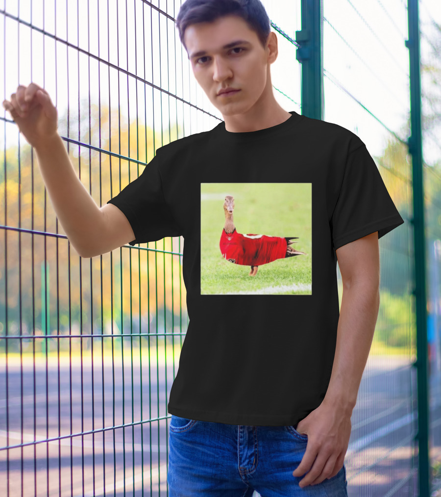 Tampa Bay Buccaneers Duck 2026 Football Fan T-Shirt