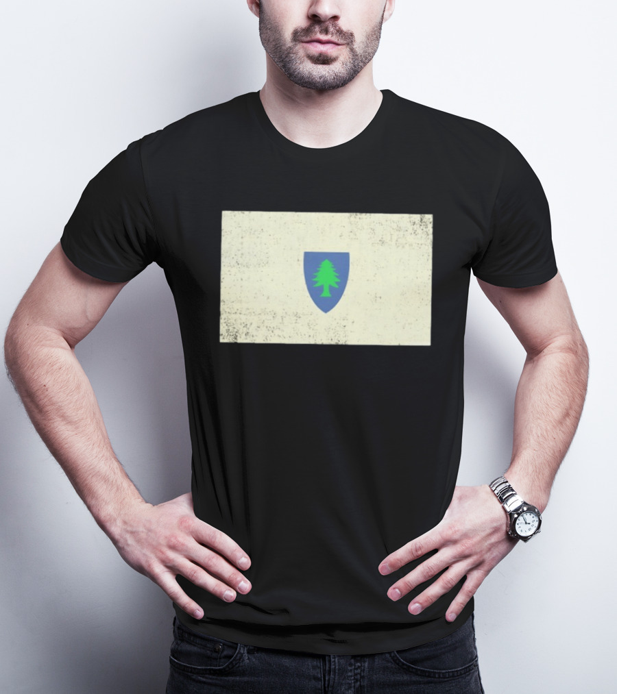 Massachusetts Flag Pine Tree Symbol On Vintage Shield T-Shirt
