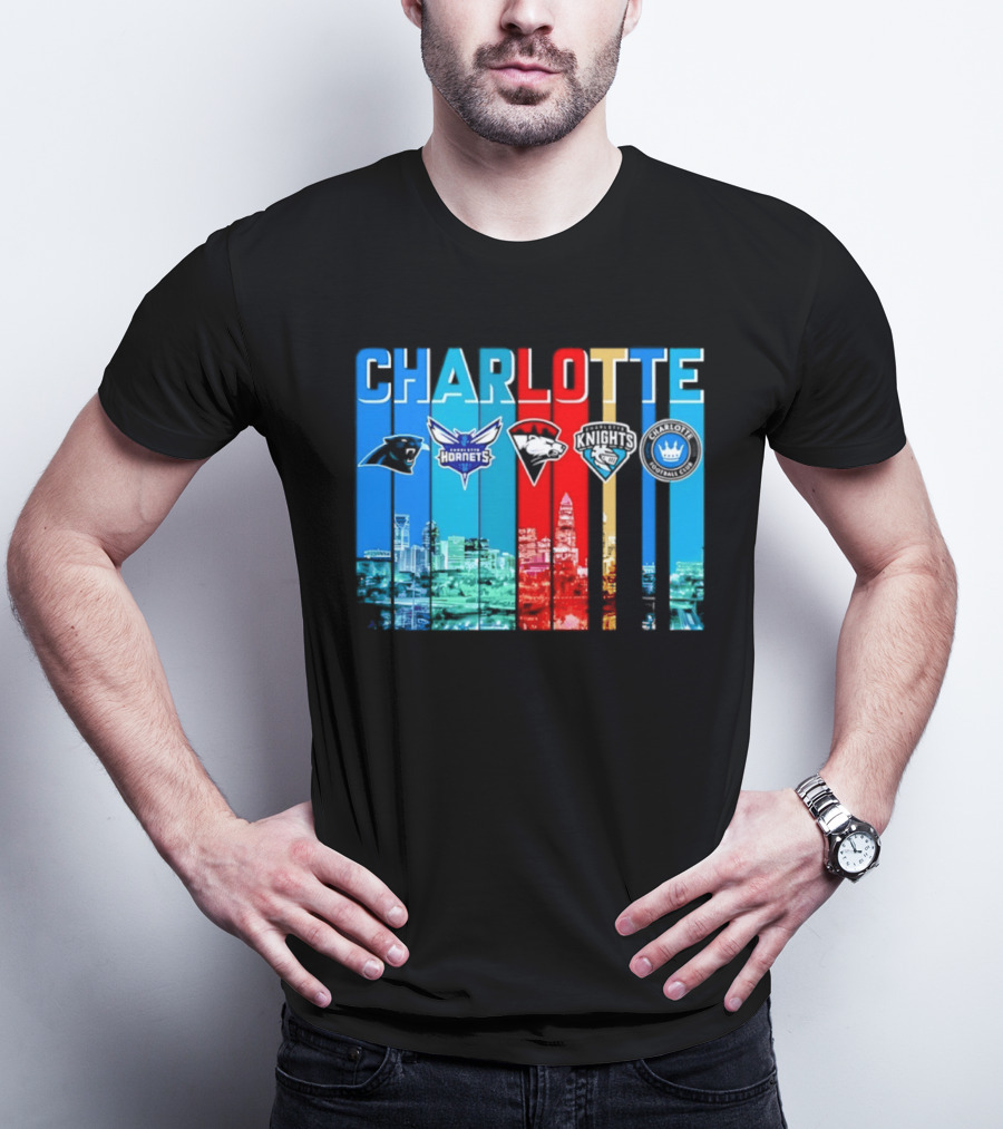 Charlotte Panthers Hornets Knights City Skyline Sports Team Logos T-Shirt