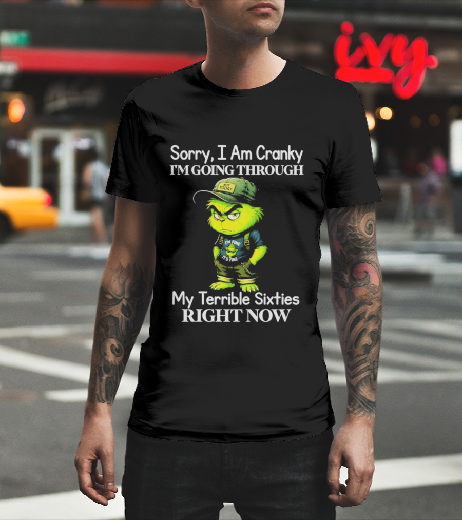 Sorry I Am Cranky I'm Going Through My Terrible Sixties Right Now T-Shirt