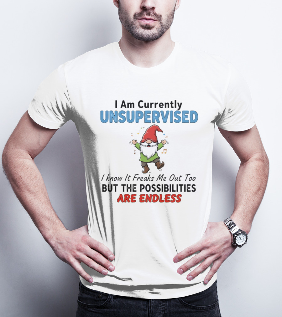 Unsupervised Gnome Christmas Possibilities Endless Fun T-Shirt