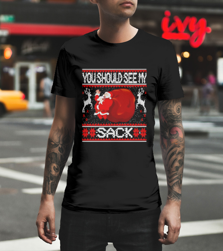 You Should See My Sack Santa Claus Ugly Christmas Reindeer Snowflakes T-Shirt