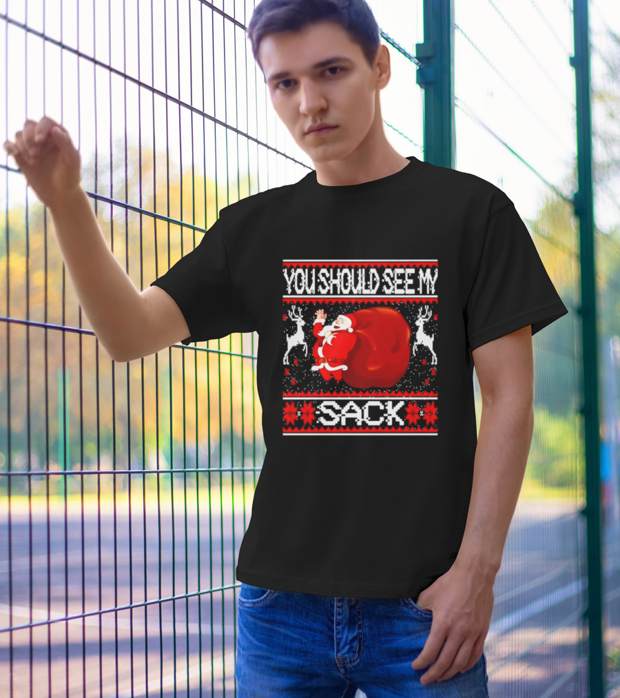 You Should See My Sack Santa Claus Ugly Christmas Reindeer Snowflakes T-Shirt