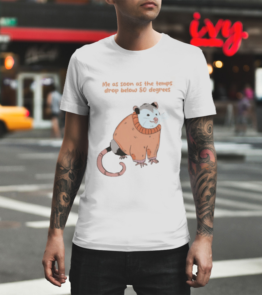 Opossum Cozy Sweater Temps Below 80 Degrees T-Shirt