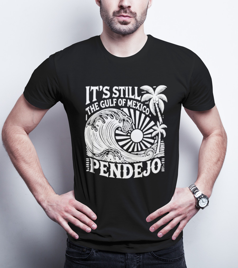 It's Still The Gulf Of Mexico Pendejo Wave Palm Sun T-Shirt